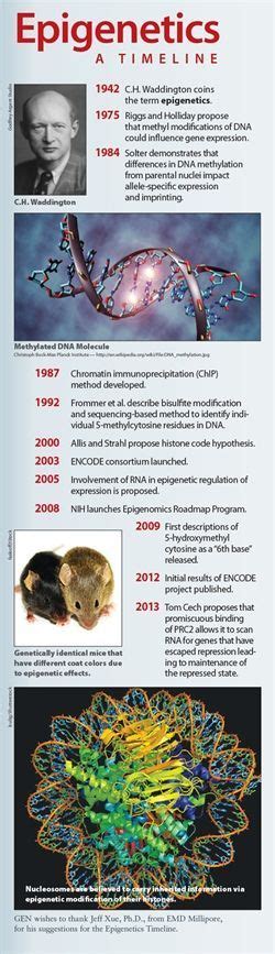 Epigenetics Journal