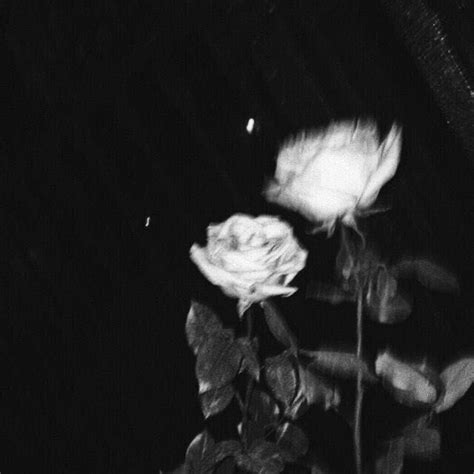 Dark Pfp Aesthetic