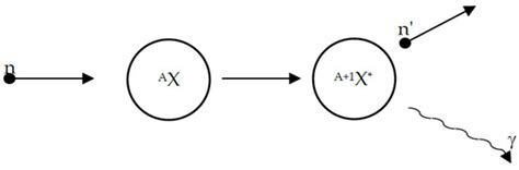 Fast Neutron Measurement System Using Prompt Gamma Neutron Activation Solid Converter Monte
