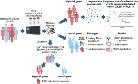 Francine Marques On Linkedin Faecal Metaproteomics Analysis Reveals A High Cardiovascular Risk