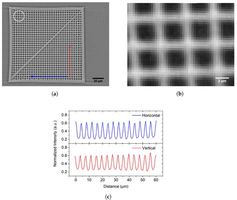 Xct And Dlw Synergies Of Two Techniques At Sub Micrometer Resolution