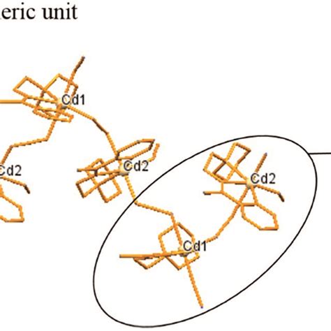 1d Coordination Polymeric Structure Of Complex 5 Download Scientific Diagram