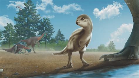 Ut Austin Researchers Help Identify New Dinosaur Species Named After