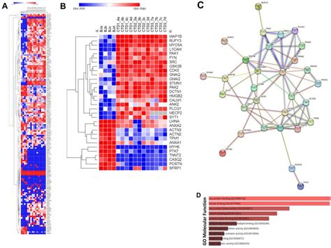 Heatmap String Interaction And Go Molecular Functional Analysis A