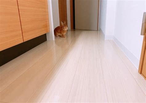 早朝へやんぽ ushamaruのブログ