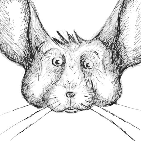 chris chinchilla youtube