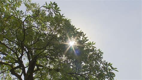 沒有最熱只有更熱！ 週五至週日恐現極端高溫｜四季線上4gtv