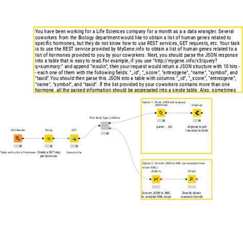Challenge 12 Obtaining A List Of Human Genes Via Rest Solution