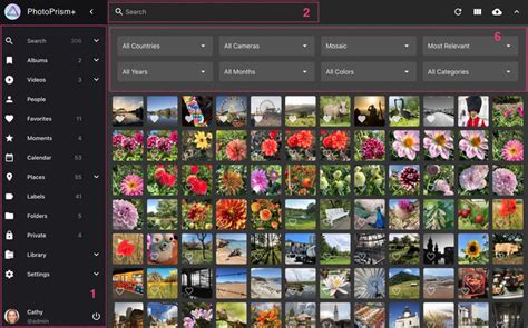 User Interface PhotoPrism