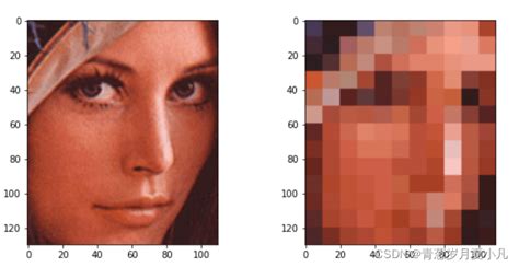 Opencv 人脸图片马赛克face Img 16150222330 Img 1014410118 Face Csdn博客