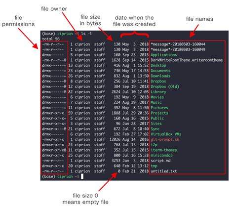 Intro To Programming How To Use The Command Line Part 2 Edlitera