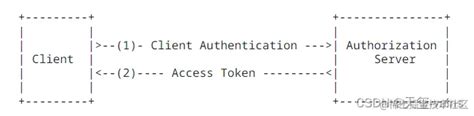 Spring Authorization Server入门 一 初识springauthorizationserver和oauth2 1协议 掘金