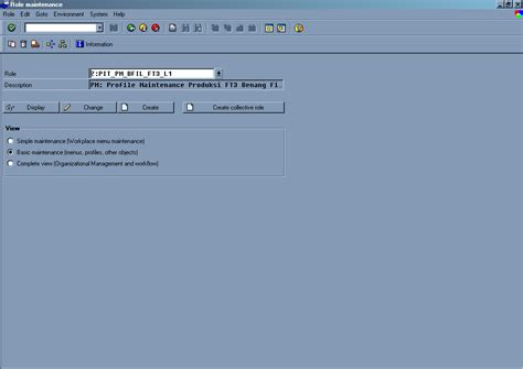 Transport Pfcg Sinau Sap Pm Module