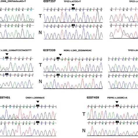 Somatic Mutations Identified In Quadruple Wt Gist All Relevant Somatic