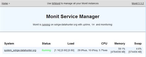 1 monit 入門 夢想家