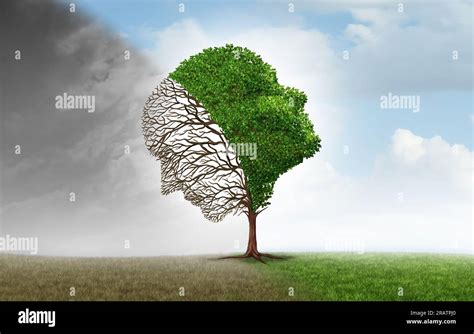 Mood Disorder Or Bipolar Disorders Diagnosis And Schizophrenia Symptoms As Mental Health