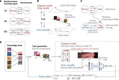 Controlling Human Causal Inference Through In Silico Task Design Cell Reports