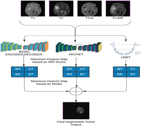 Figure 1 From Deep Learning Based Ensemble Model For Brain Tumor Segmentation Using Multi