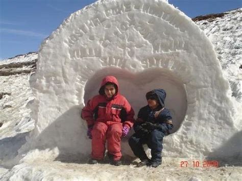 Shimla Kullu Manali Tour Package At Best Price In Shimla Id 6347592630