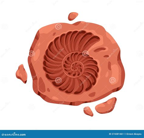 Ammonite Fossil Rock With Spiral Sea Shell Imprint Archeology Prehistoric Art On Stone With