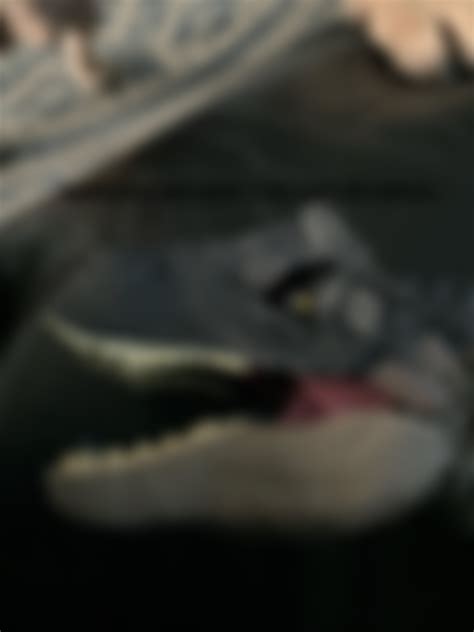 Allosaurus Had Never Seen Such Bs Before Is This Viable As A Template