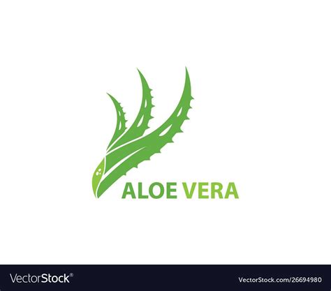 Best 13 Aloe Vera Plant Logo Design Herbal Plant And Fall Vector Design
