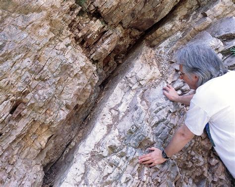 K T Boundary Layer Stock Image C Science Photo Library
