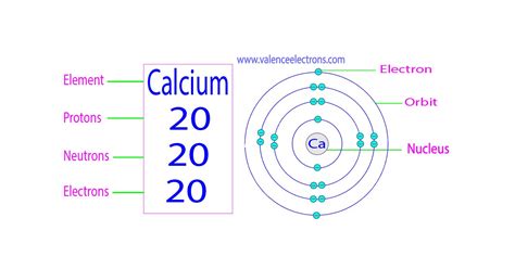 Orbital Diagram For Calcium Ca Calcium Electron Configuration Hot Sex Picture