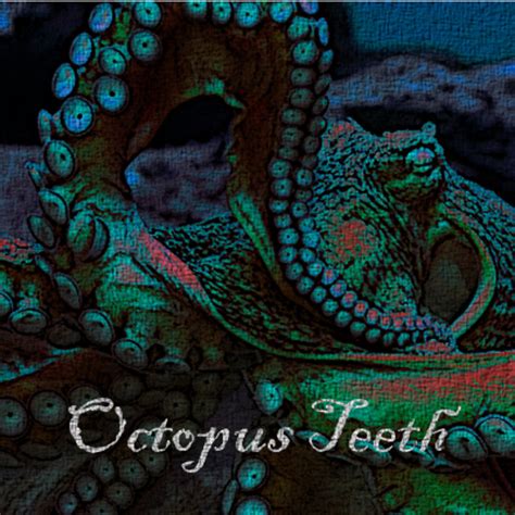 Octopus Teeth Octopus Teeth