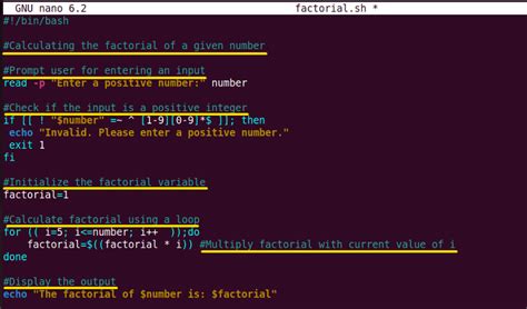 what are single line comments in bash [2 cases with examples]
