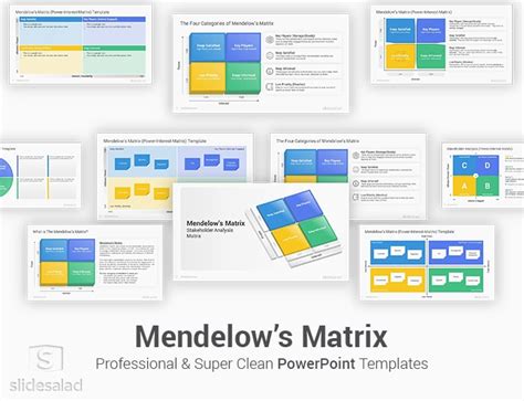 Mendelows Matrix Powerpoint Template Designs Slidesalad