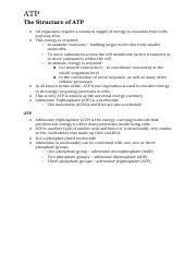 The Role Of ATP In Cellular Energy Transfer Course Hero
