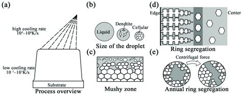 The Solidification Process And Formation Of Segregation During The Sf Download Scientific The Solidification Process And Formation Of Segregation During The Sf Download Scientific