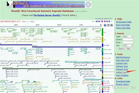 如何查找一个基因在不同组织的表达量 知乎