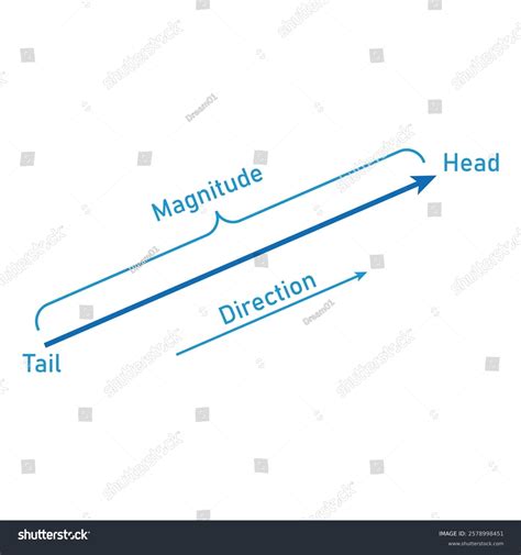 Vector Definition Physics Mathematics Magnitude Tail Stock Vector Royalty Free 2578998451