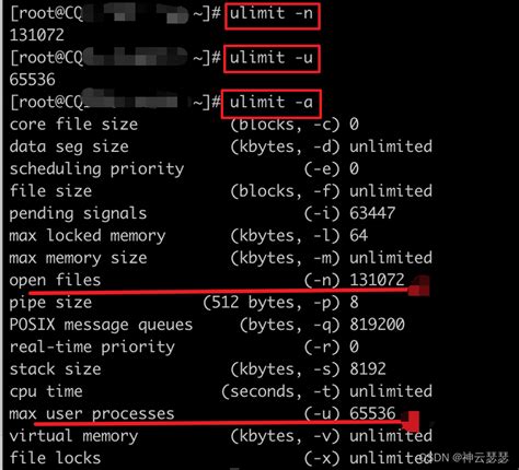 Linux中程序打开文件句柄和创建进程限制soft Nofile 65536 Csdn博客