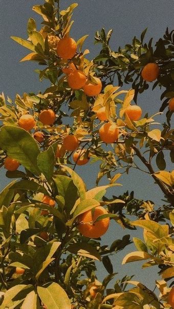 Биофак БГУ | ВКонтакте