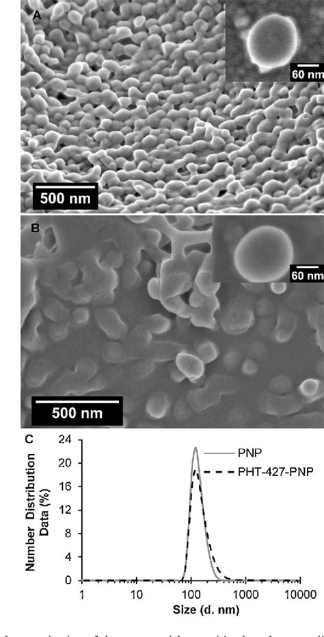 Figure 2 From Nanoparticle Encapsulation And Controlled Release Of A