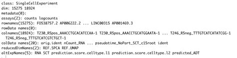 Which Assay To Use Before Converting Seurat Object To Other Object Classes · Issue 4534