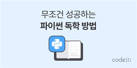 파이썬 독학 실패 없이 성공하는 법
