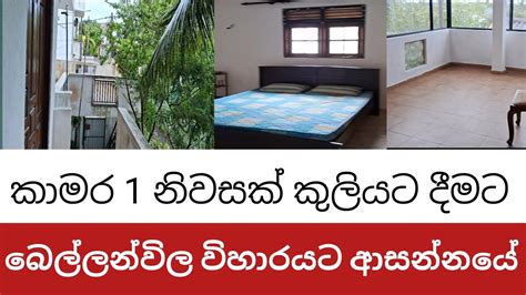 නිදන කාමර එකක නිවසක් කුලියට දීමට බෙල්ලන්විල House For Rent Cityads