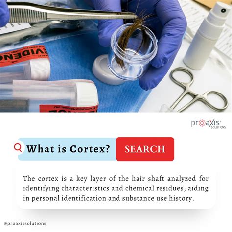 Proaxis Solutions On Linkedin Cortex Hairforensics Haircortex Proaxis Solutions On Linkedin Cortex Hairforensics Haircortex