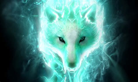 100 Galaxy Wolf Backgrounds