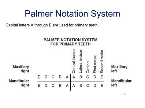 Palmer Notation Fdi Pptx Dental Health Diseases And Conditions Palmer Notation Fdi Pptx Dental Health Diseases And Conditions