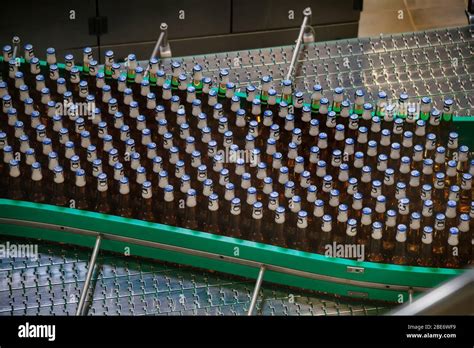 Modern Automated Beer Bottling Production Line Beer Bottles Moving On Conveyor Stock Photo Alamy