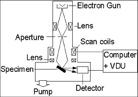 4 Schematic Diagram Of Sem 19 Download Scientific Diagram