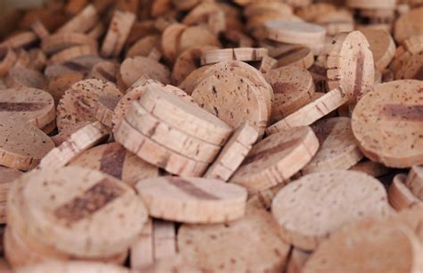 Is Cork Material Environmentally Friendly Reasons Why You Should Use