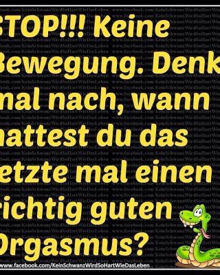 Lustige Sex Bilder Porno Bilder Sex Fotos Xxx Bilder Pictoa