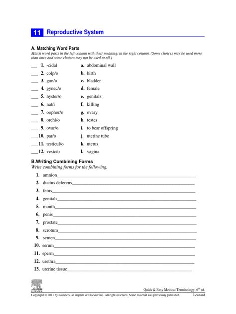 Worksheet 11 Download Free Pdf Reproductive System Sex Organ