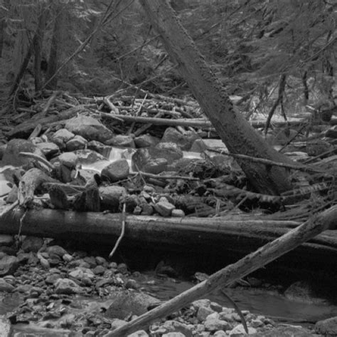 Sparse Coding And Iterative Thresholding — Ngc Learn 203 Documentation